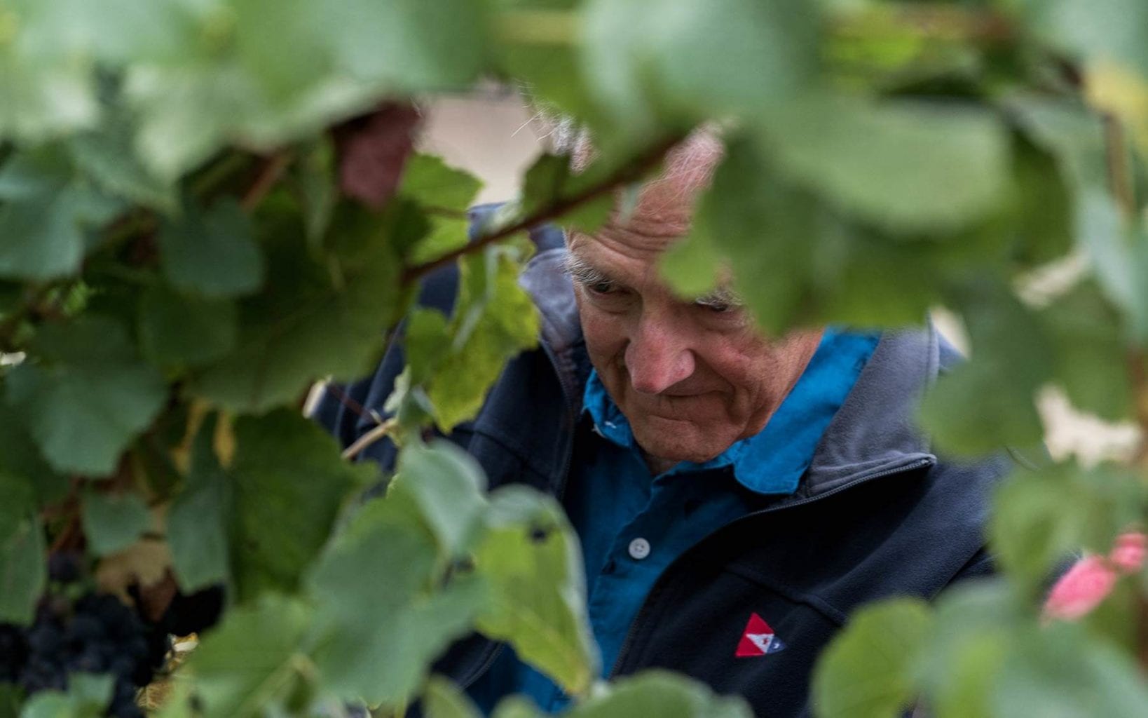 [noble] story - Ron Noble Wines